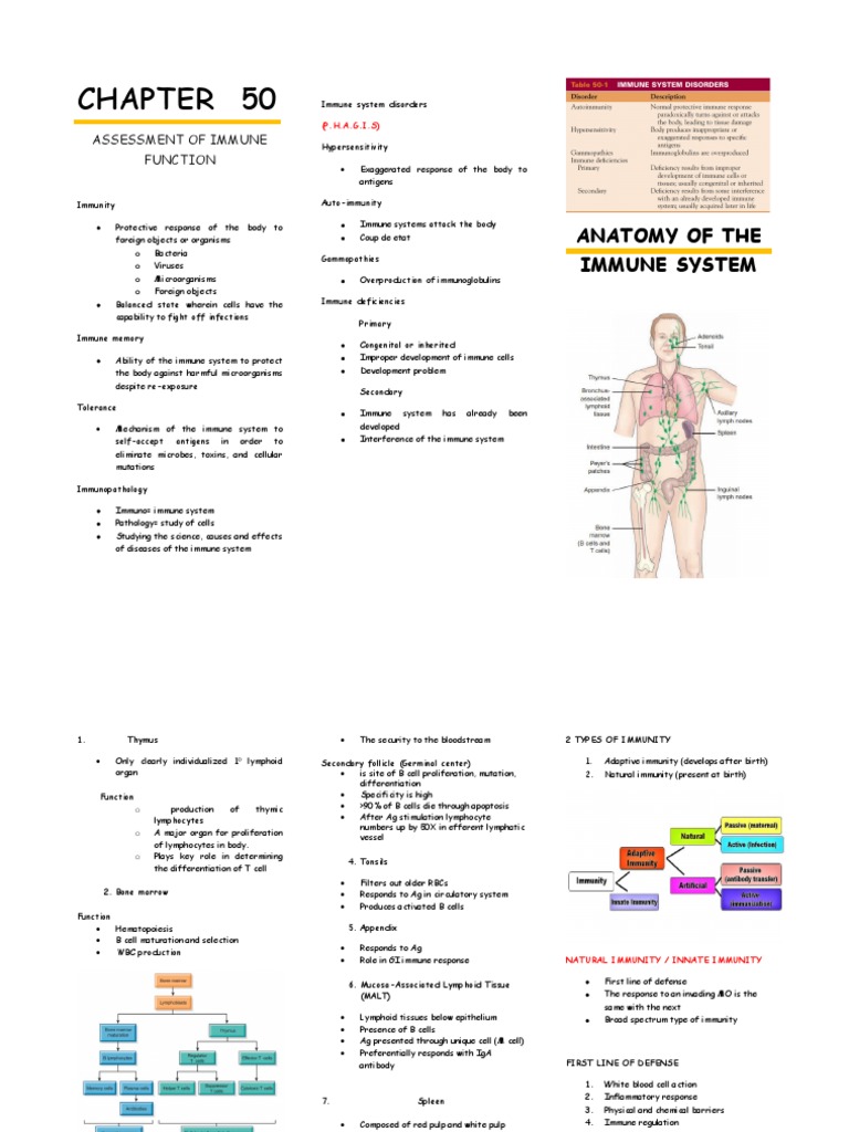 Chapter 50 Assessment of Immune Function | PDF | Immune System | Antibody