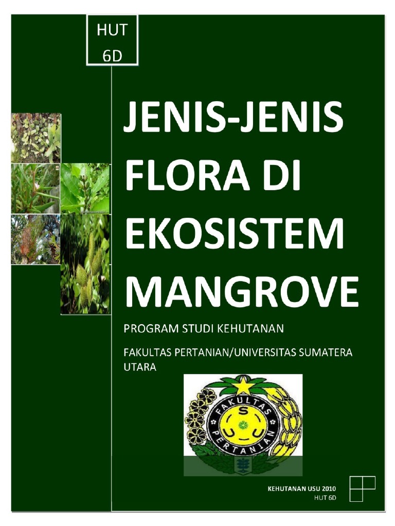 Buku Flora Mangrove | PDF