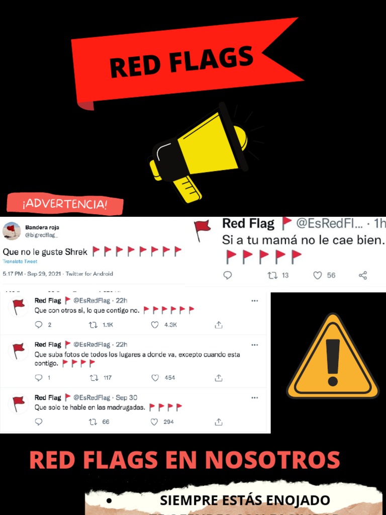 Red Flags | PDF