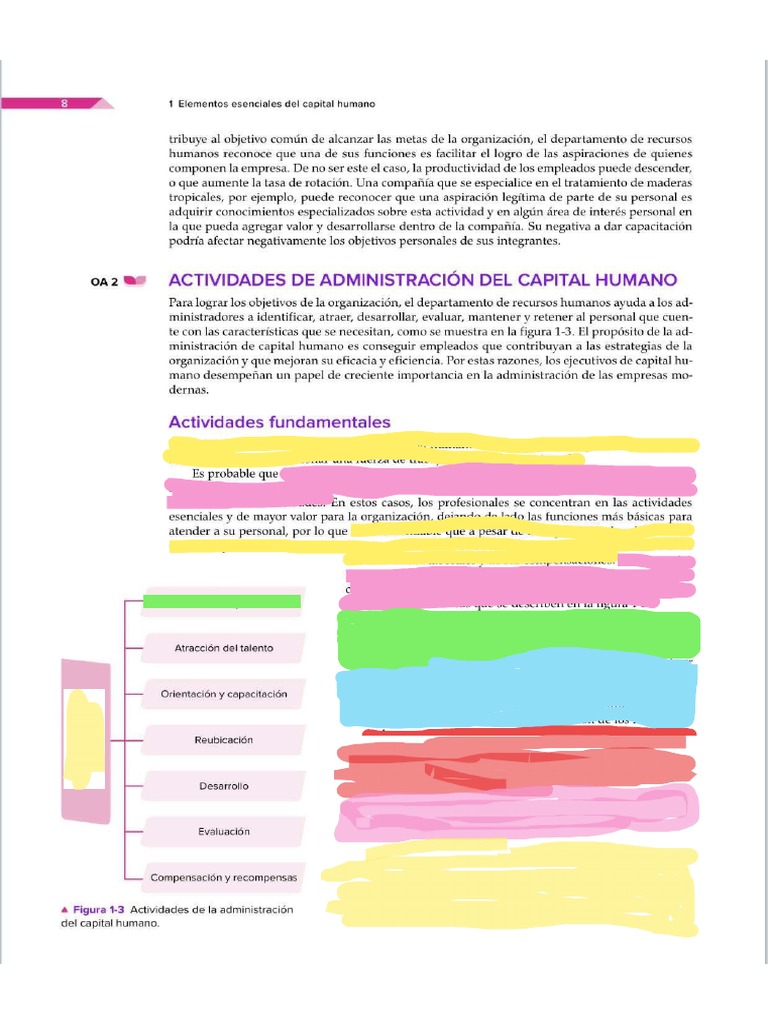 Administracion Del Capital Humano - William B. Berther - Kieth Davis ...