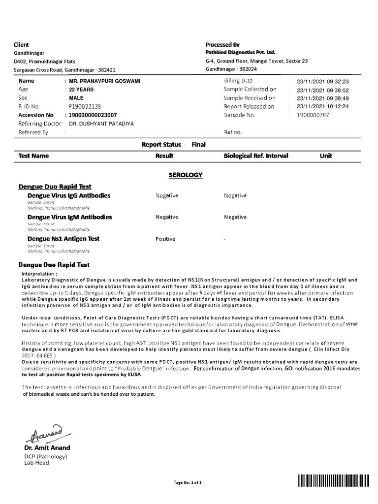 Dangue Report | PDF | Animal Diseases | Virology