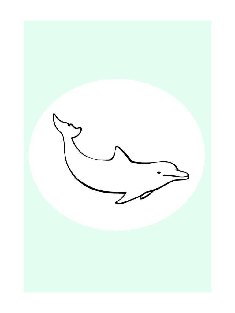 Dolphin Drawing Book | PDF