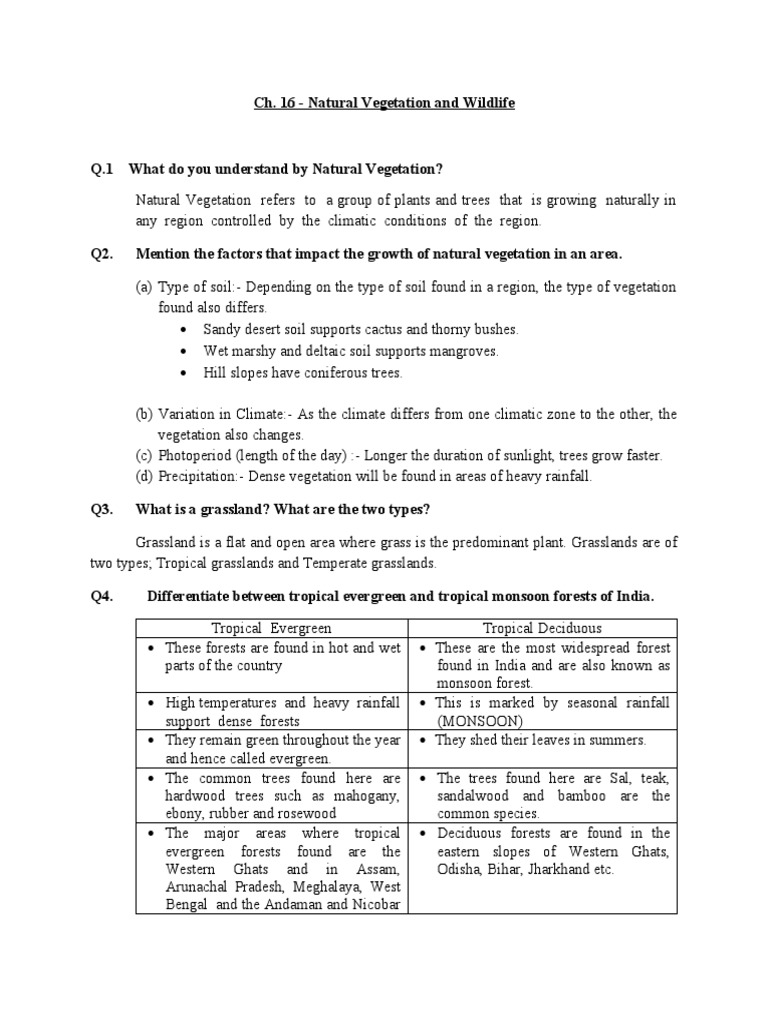 Notes Natural Vegetation | PDF | Forests | Trees