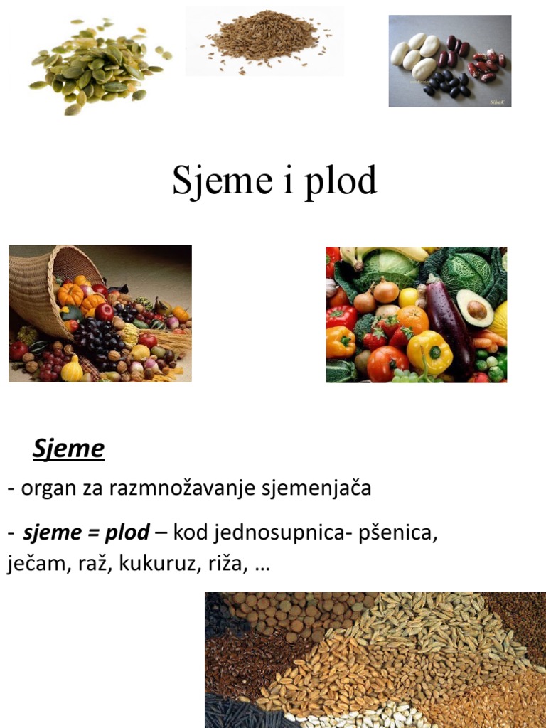 Sjeme I Plod | PDF