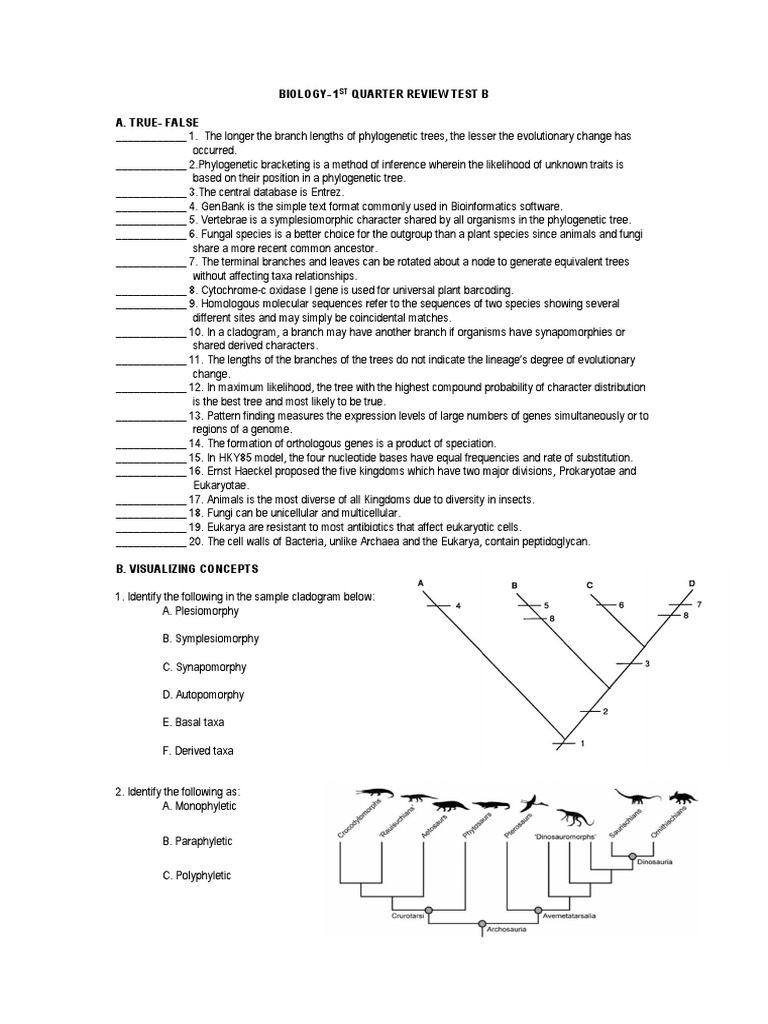 Biology-1 Quarter Review Test B A. True - False | PDF | Phylogenetic ...