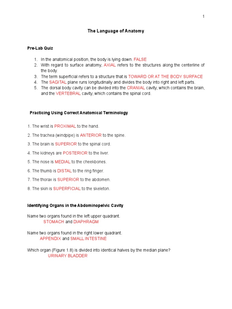The Language of Anatomy | PDF | Anatomical Terms Of Location ...
