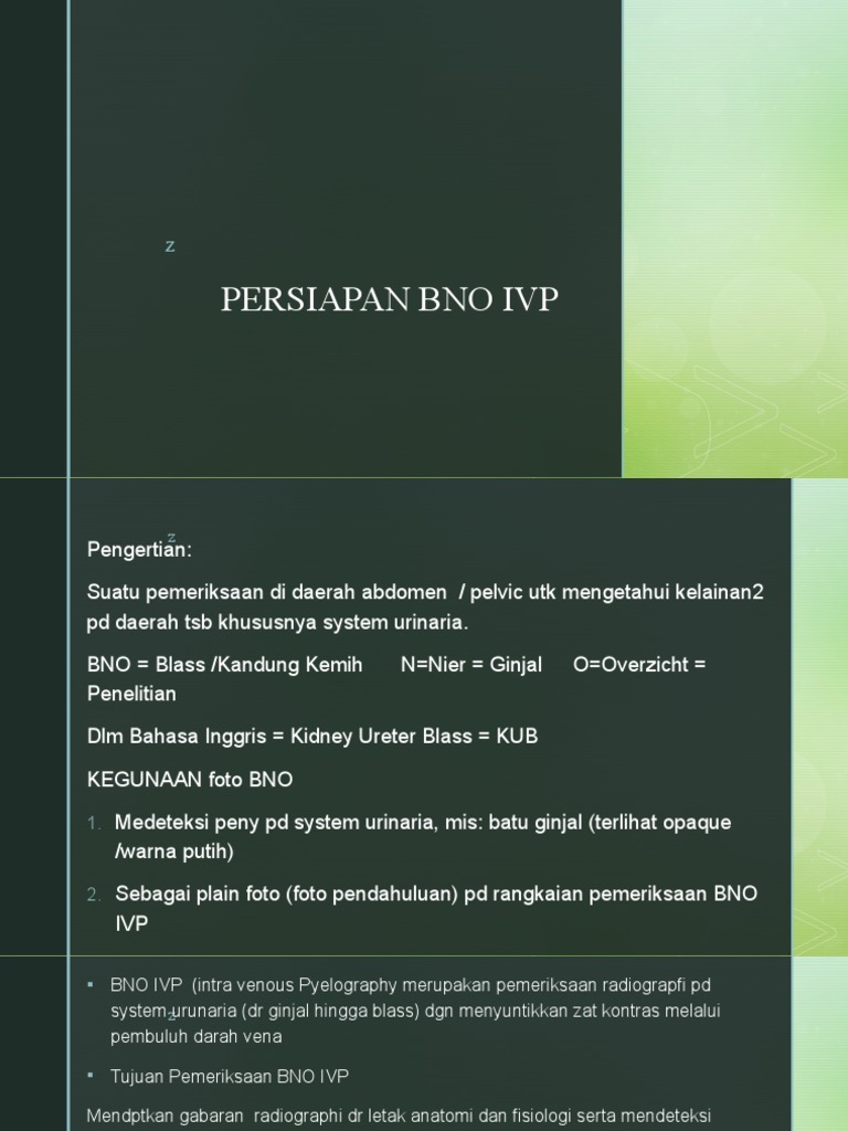 Persiapan BNO IVP | PDF