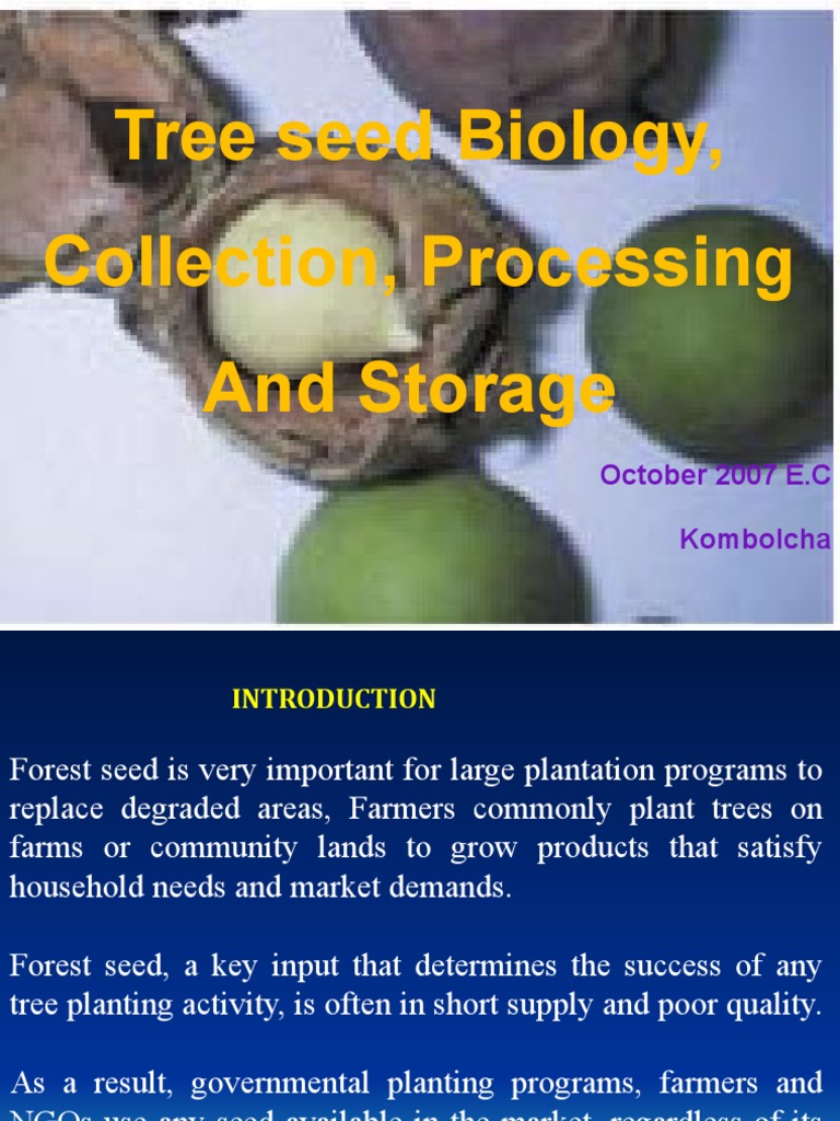 Tree Seed Collection and Procesing, Storage | PDF | Seed | Trees