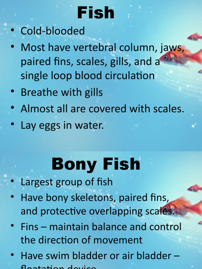 Fish | PDF