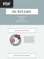 Mapa Conceptual Nucleo | PDF | Nucleo celular | Cromatina
