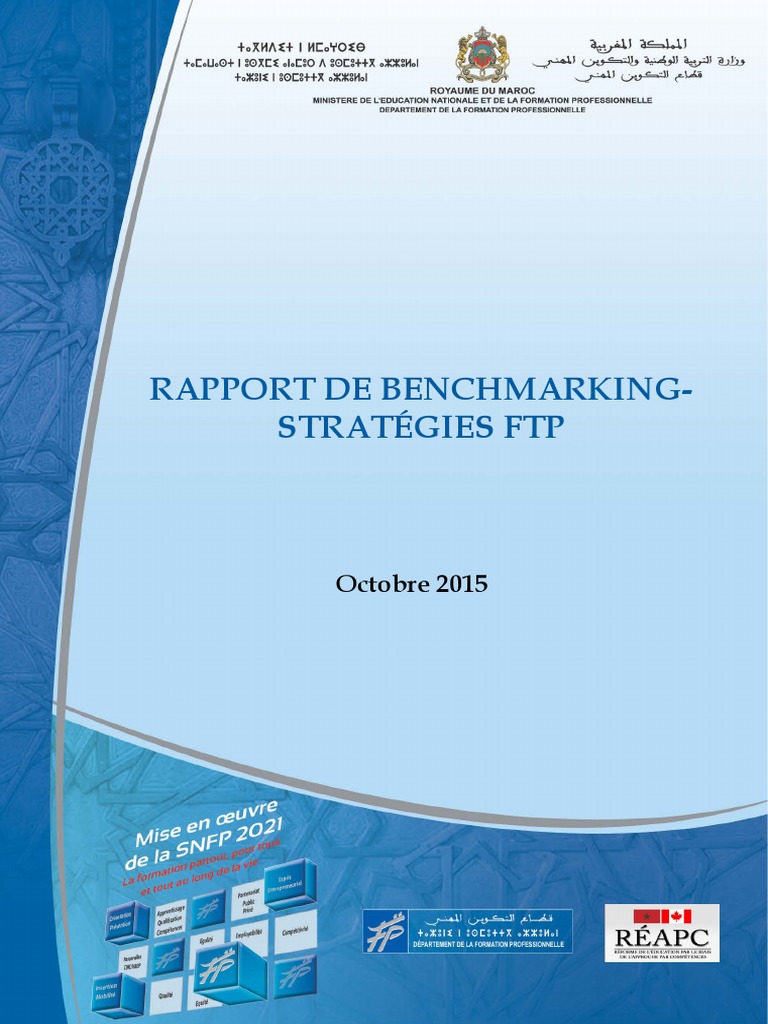 Stratégies de Formation Professionnelle | PDF | Sciences sociales | Chômage