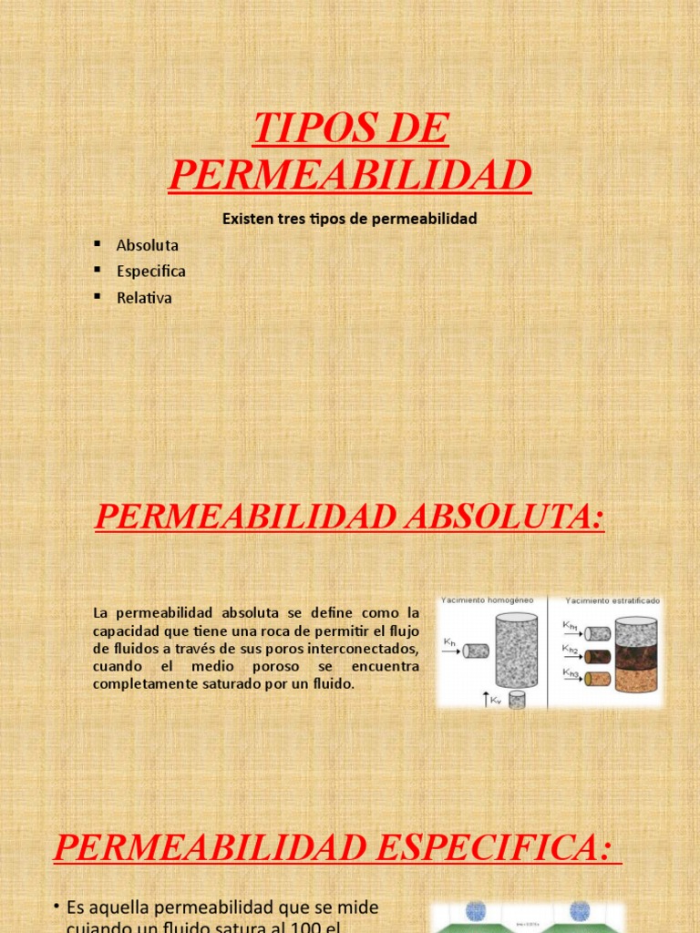 Tipos de Permeabilidad | PDF