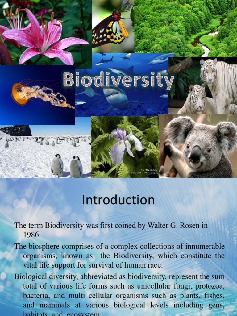 A Biodiversity Concept | PDF | Habitat Destruction | Biodiversity