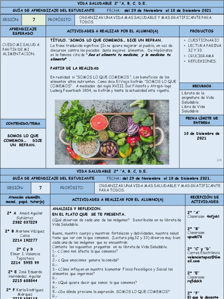 Vida Saludable: Somos lo que Comemos | PDF