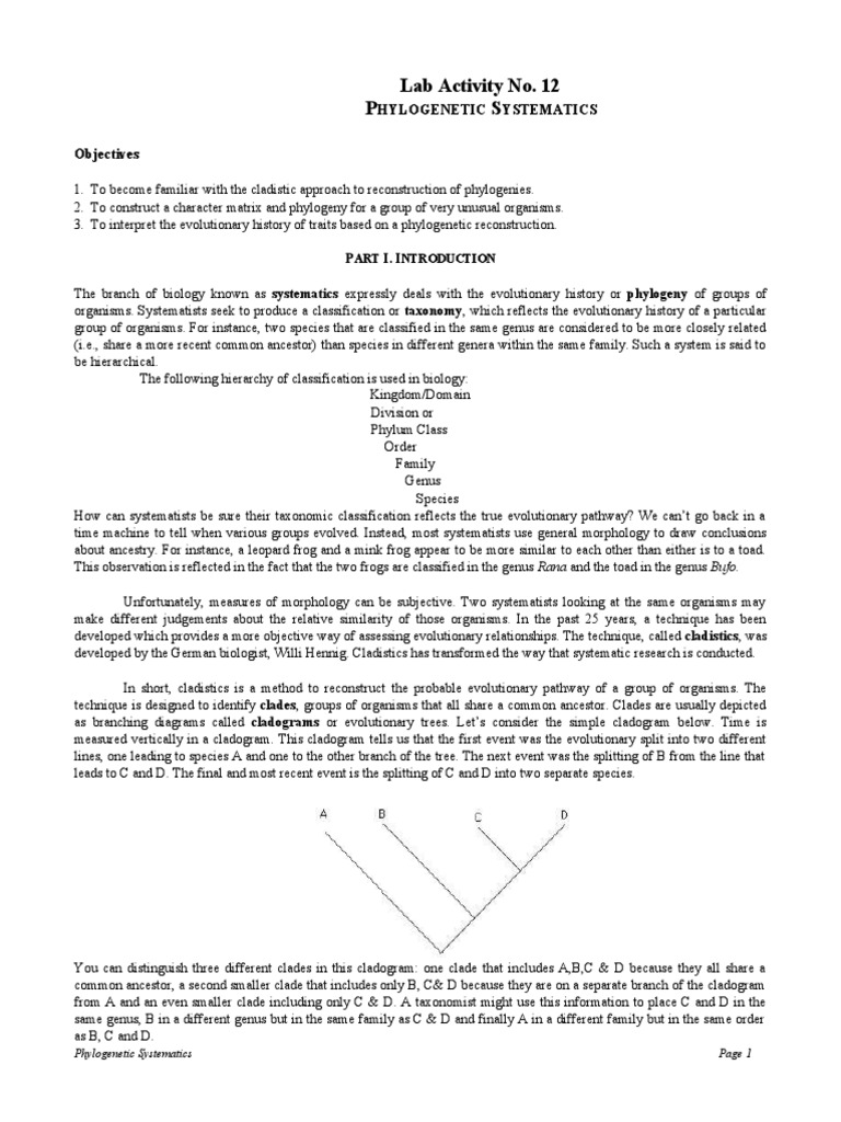 Constructing a Cladogram Lab Guide | PDF | Clade | Phylogenetic Tree