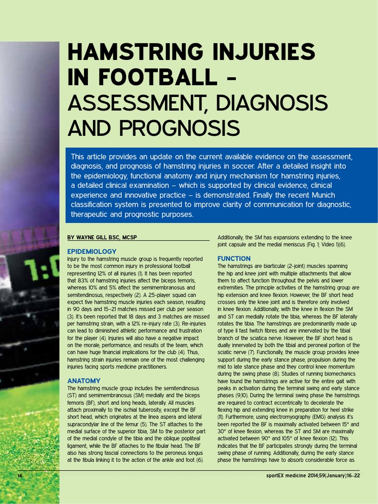 Hamstring Injuries in Football | PDF | Pelvis | Knee