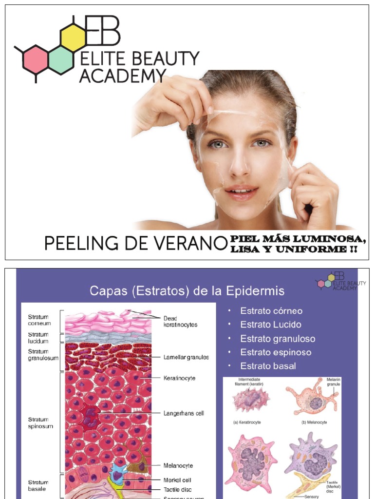 Peeling Nivel 1 | PDF | Piel | Examen físico