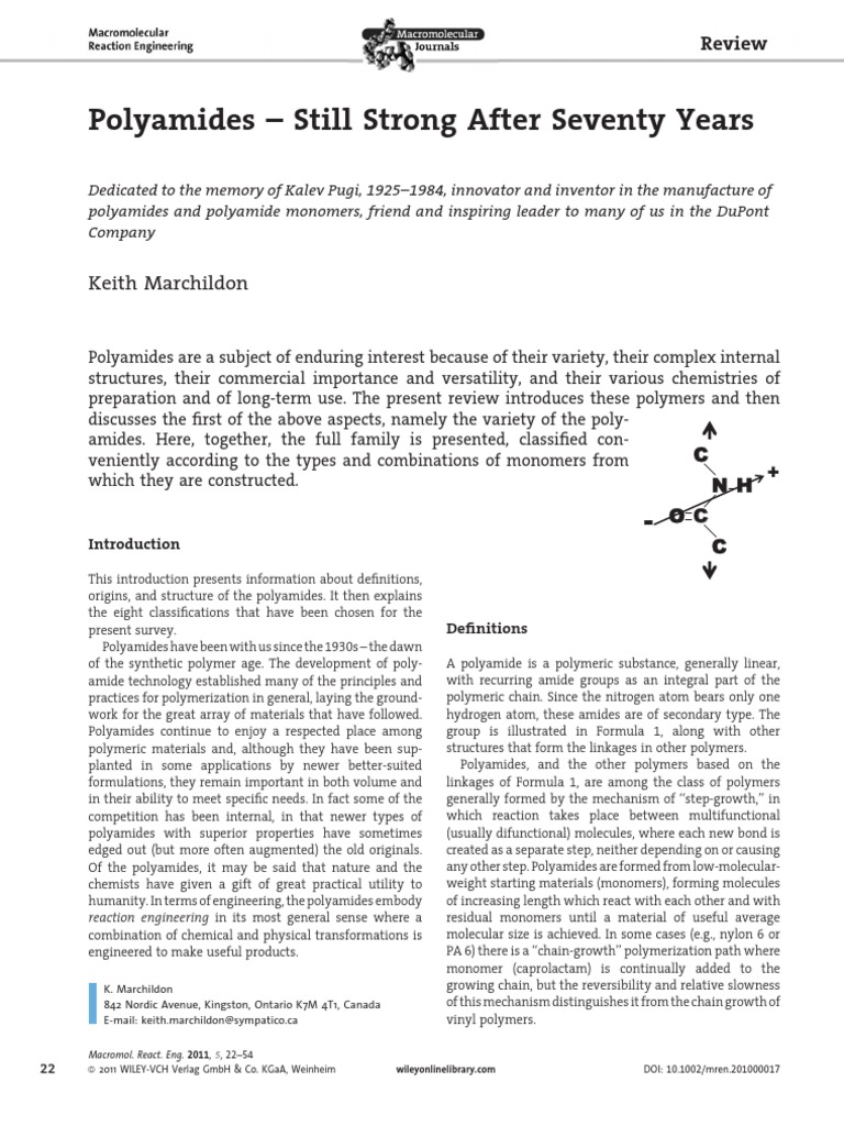 Polyamides - Still Strong After Seventy Years: Review | PDF | Polymers | Nylon