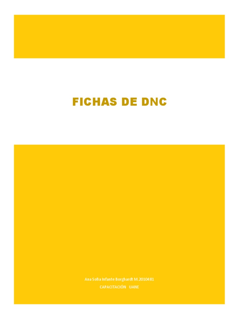 Fichas de DNC: Ana Sofia Infante Borghardt M.2010481 Capacitación Uane | PDF | Informática