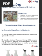Sopa de Letras Evolución | PDF