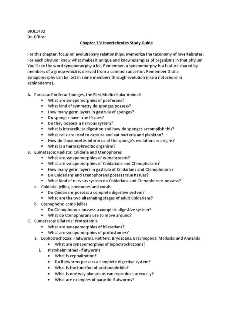 Chapter 33: Invertebrates Study Guide | PDF | Sponge | Invertebrate