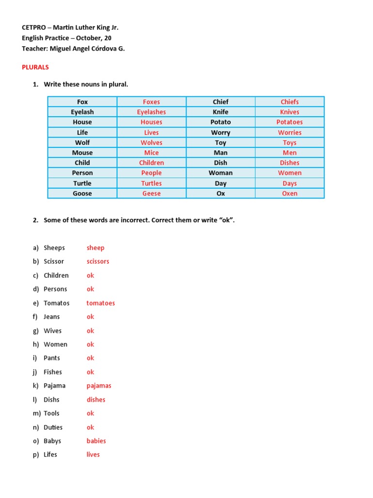 KEY 24 Plurals Mixed Exercises | PDF | Plural