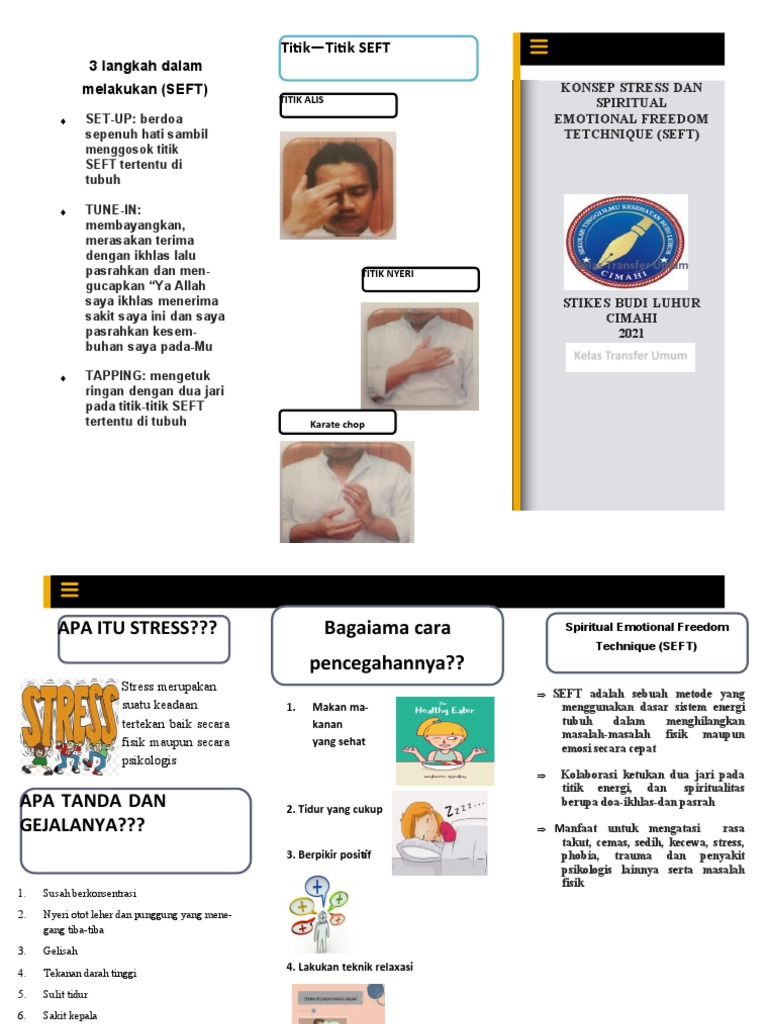 Leaflet SEFT | PDF