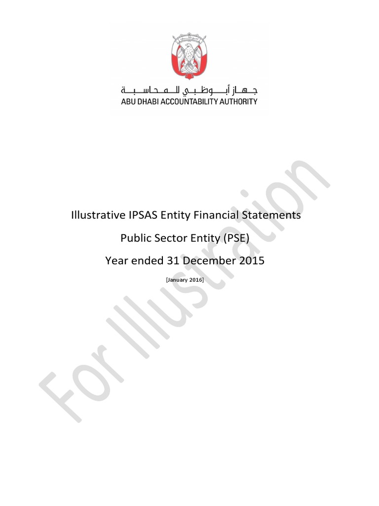 Ipsas Accrual Basis Illustrative Financial Statements | PDF ...