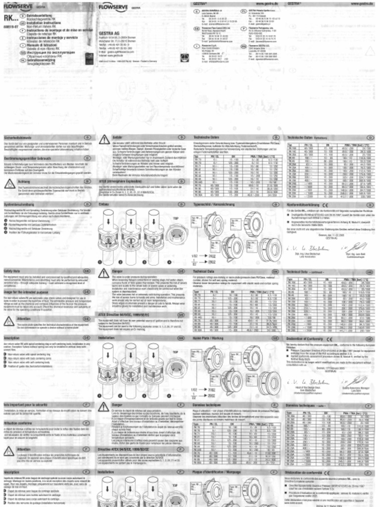Check Valve Flowserve RK76 - En-Es | PDF | Valve | Fluid Dynamics