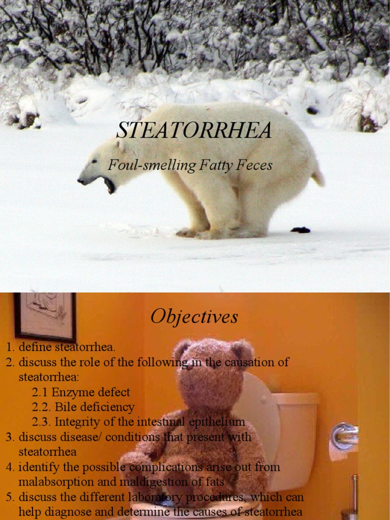 Steatorrhea: Foul-Smelling Fatty Feces | PDF | Bile | Clinical Medicine