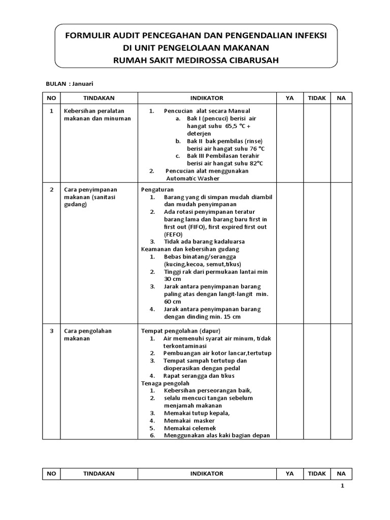 FORMULIR AUDIT PPI GIZI New | PDF