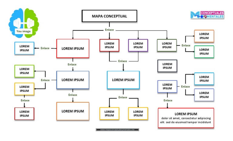 Plantilla Mapa Conceptual 29 | PDF