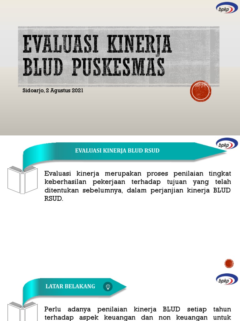 Evaluasi Kinerja BLUD RSUD dan Puskesmas | PDF