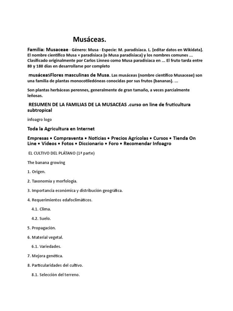 Musaceas o Banano | PDF | Fertilizante | Plátano