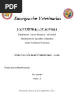 Practica de Cistocentesis | PDF | Especialidades Medicas | Medicina CLINICA