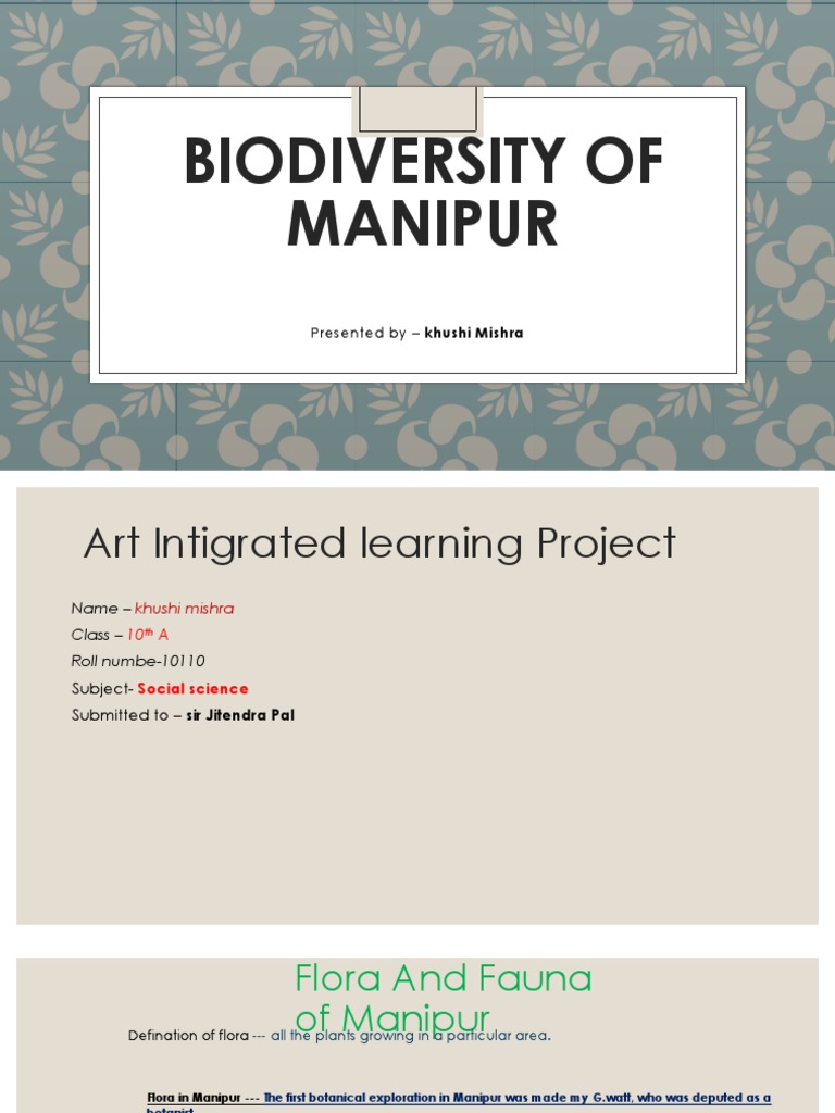 Art Integrated Learning Project-Khushi Mishra (X A) | PDF | Natural ...