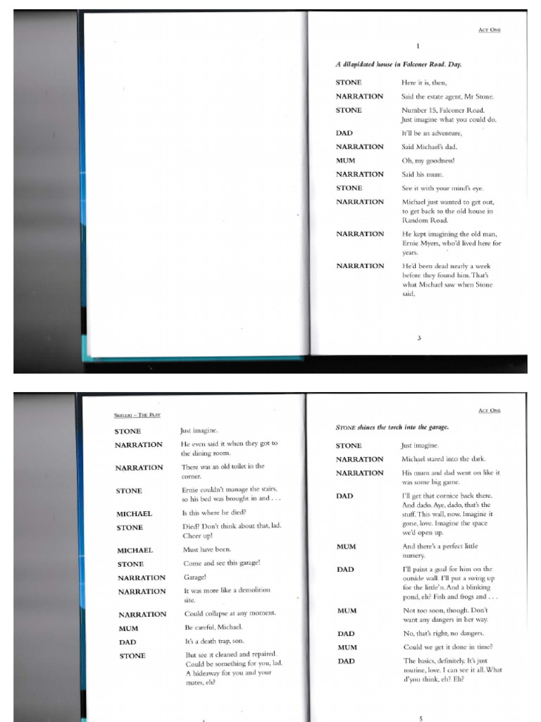 Skellig (Play) by David Almond | PDF