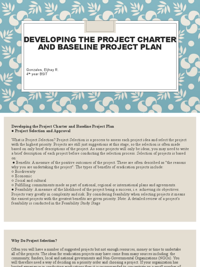Developing The Project Charter and Baseline Project Plan Gonzaleseljhay ...