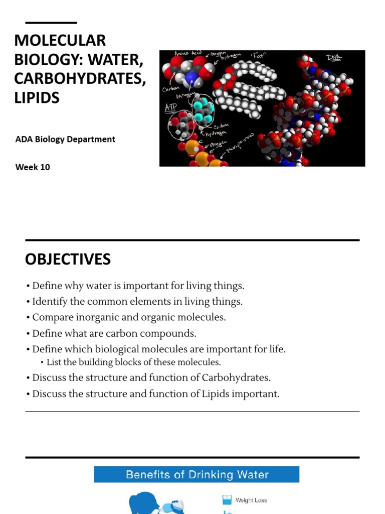 Molecular Biology Water Carbs Lipids | PDF | Triglyceride | Fat