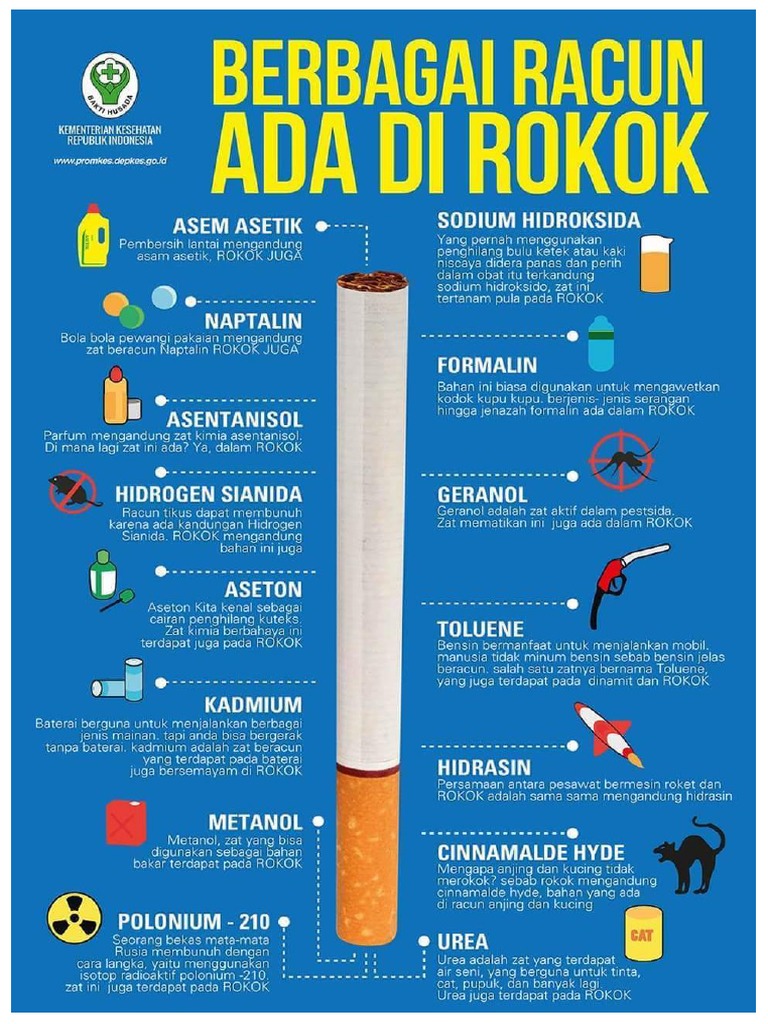 Bahaya Rokok | PDF