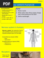 Reflex Arc Worksheet | PDF