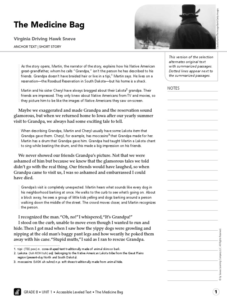 The Medicine Bag: Virginia Driving Hawk Sneve | PDF