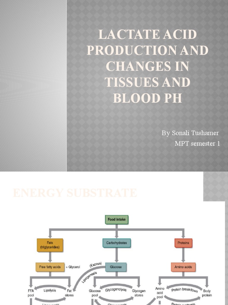 Lactate Acid Production | PDF | Glycolysis | Lactic Acid