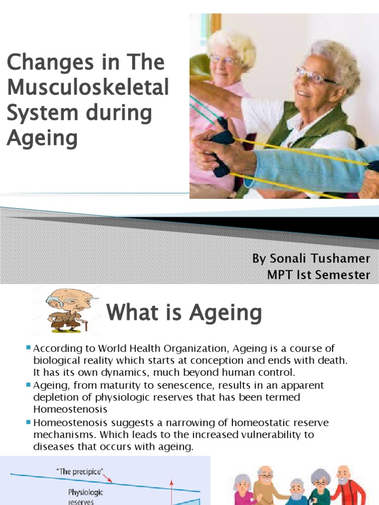 Changes in Musculoskeletal System During Aging | PDF | Skeletal Muscle ...