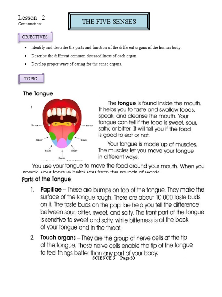 Sense Organs for Grade 3 Students | PDF | Senses | Hearing