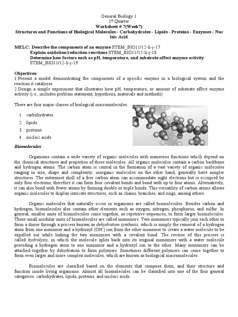 Functions of Biological Molecules | PDF | Polysaccharide | Biomolecules