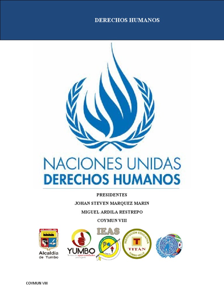 Derechos Humanos Pdf Naciones Unidas Relaciones Internacionales