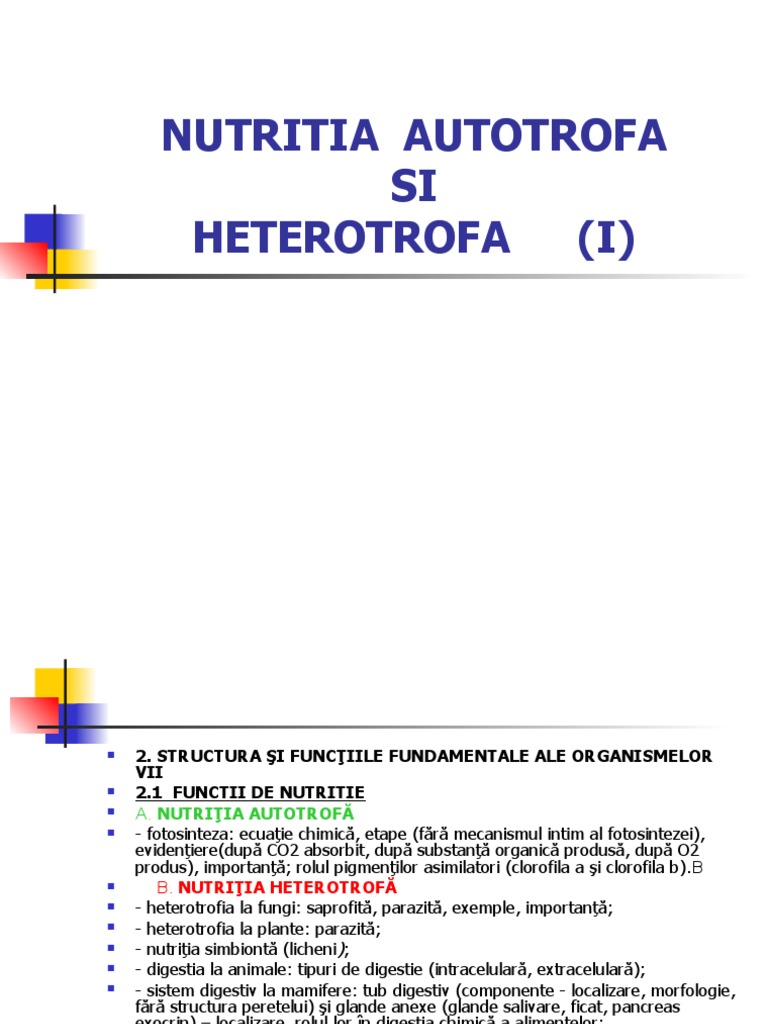 Nutritia I | PDF