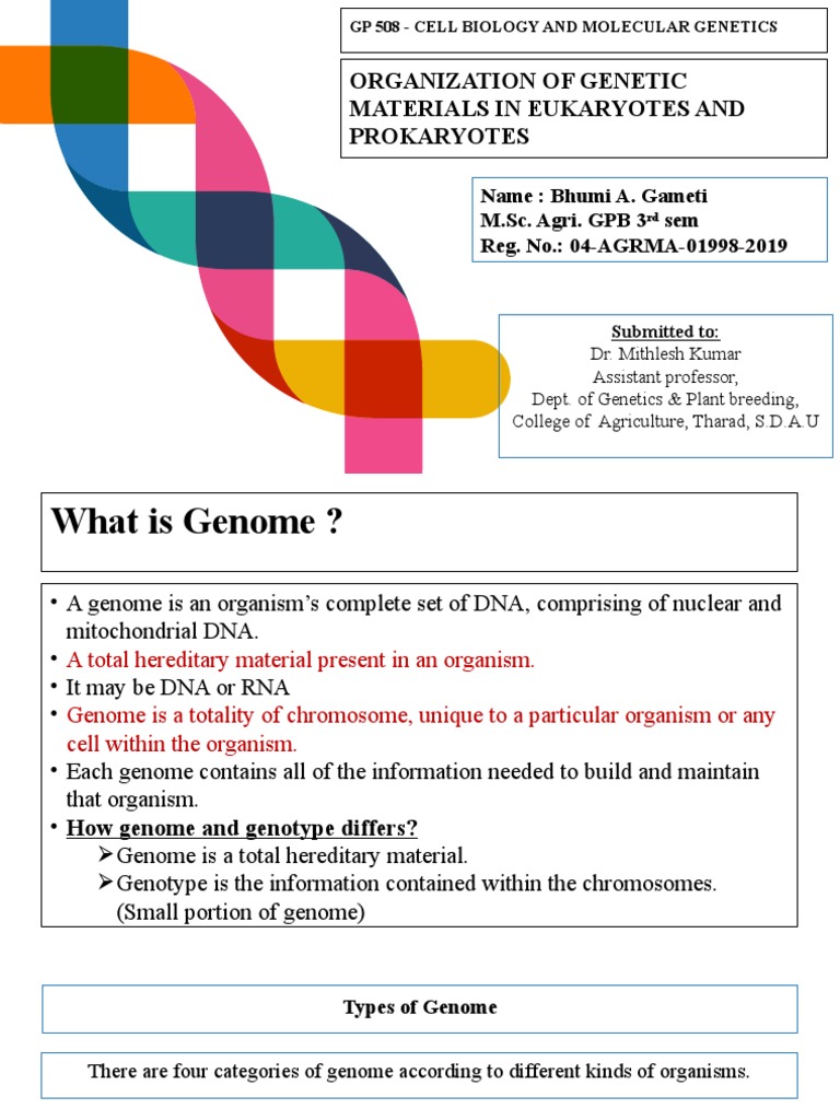 Organization of Genetic Materials in Eukaryotes and Prokaryotes | PDF ...
