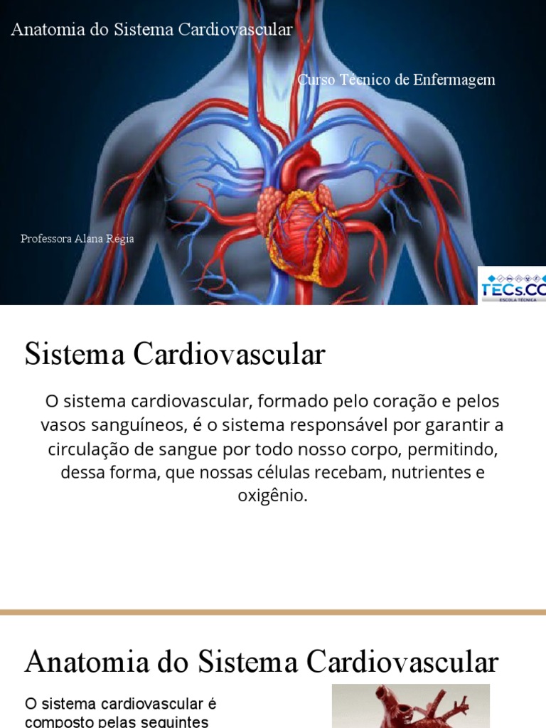 Anatomia Do Sistema Circulatório | PDF | Artéria | Coração